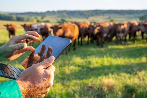 The Australian Agriculture Traceability Protocol (AATP)